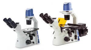 Euromex Oxion Inverso Microscopes – Genbiotek Biosistem Laboratory Ltd ...